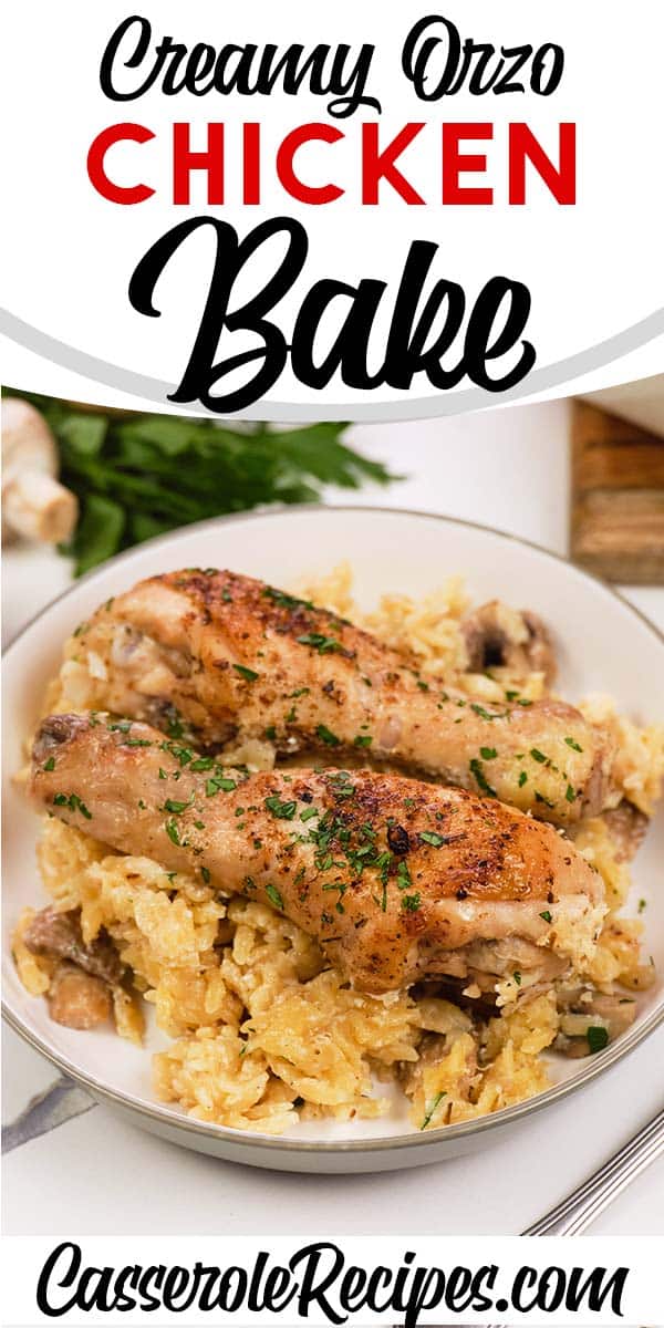 Creamy Orzo Chicken Bake - Casserole Recipes